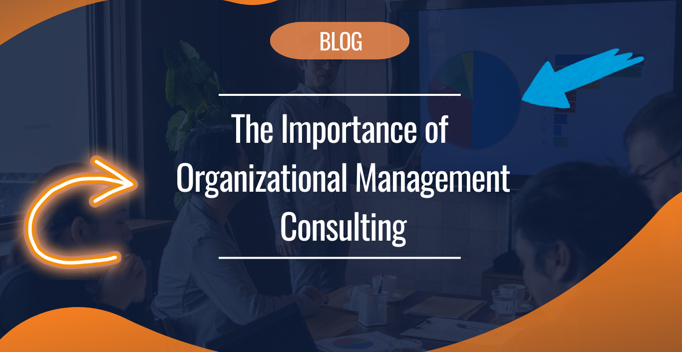 The Importance of Organizational Management Consulting - Blueprint Evolution