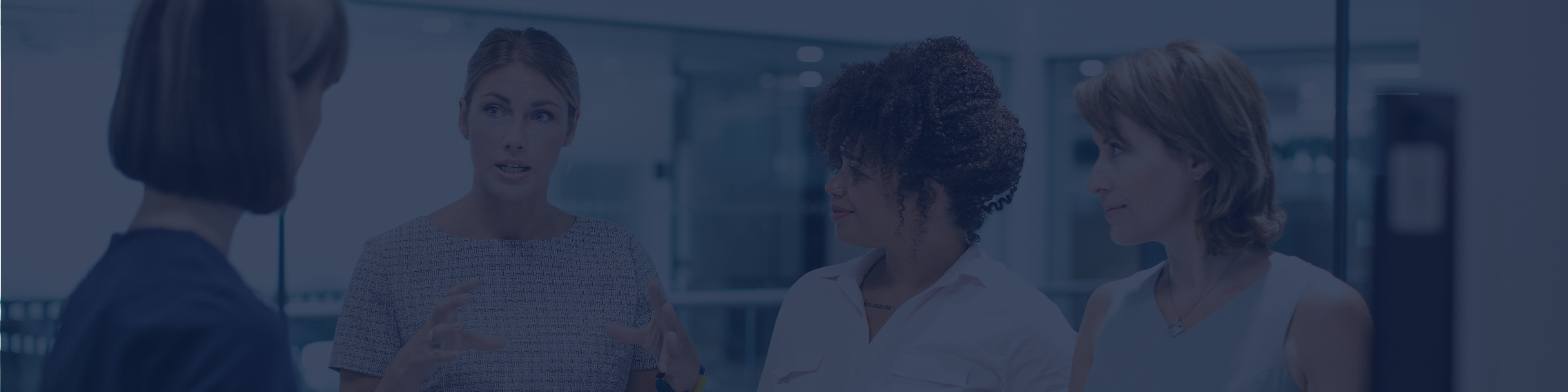 Strategic Initiatives and Action Plans - Blueprint Evolution