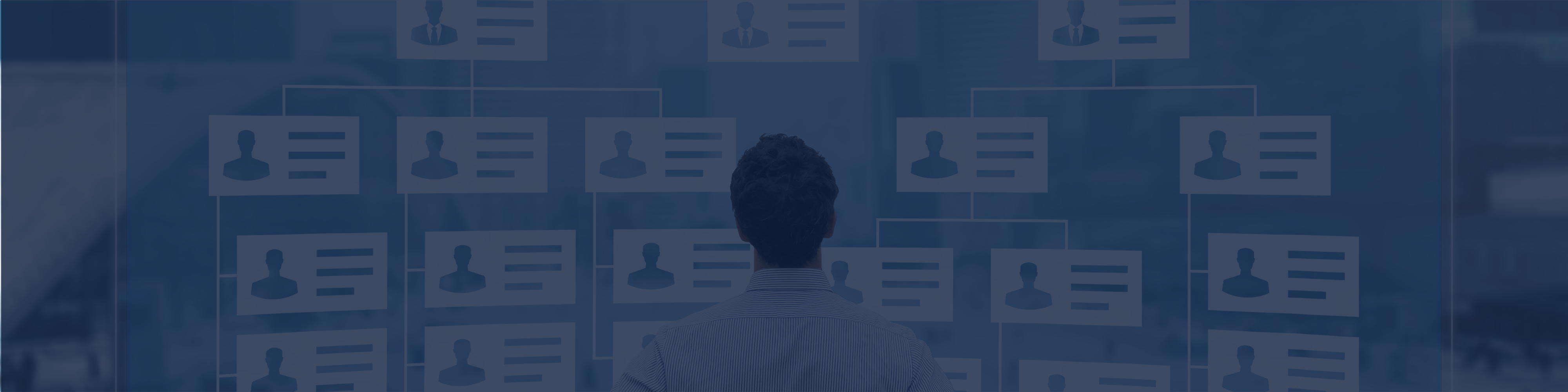 Organizational Structure & Roles - Blueprint Evolution